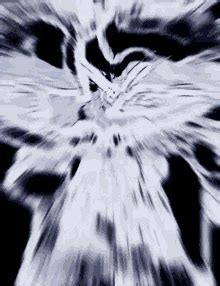 Zxc Cat GIF - Zxc Cat Фотографируюзакат - Discover & Share GIFs in 2022 ...