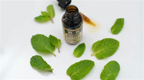 Peppermint Essential Oil Photo Credit Stefan Rodriguez On Unsplash