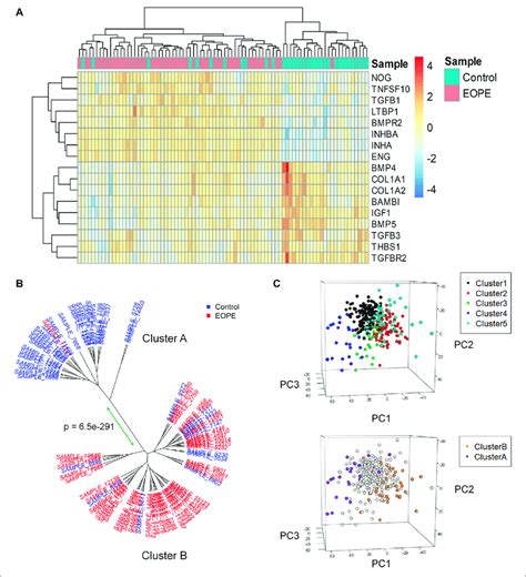 Microarray Analysis Of Tgf β Pathway Associated Gene Expression In Download Scientific