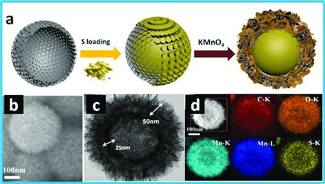 A Schematic Of The Synthetic Process Of The S C Mno 2 Dual Core Shell Download Scientific