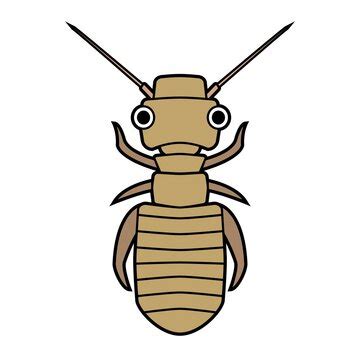 Psocoptera Bilder Durchsuchen 272 Archivfotos Vektorgrafiken Und