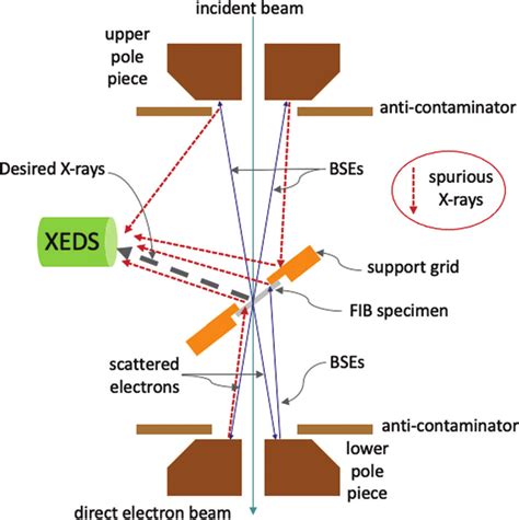 Schematic Diagram Showing Sources Of Spurious X Rays Red Dotted Lines Download Scientific