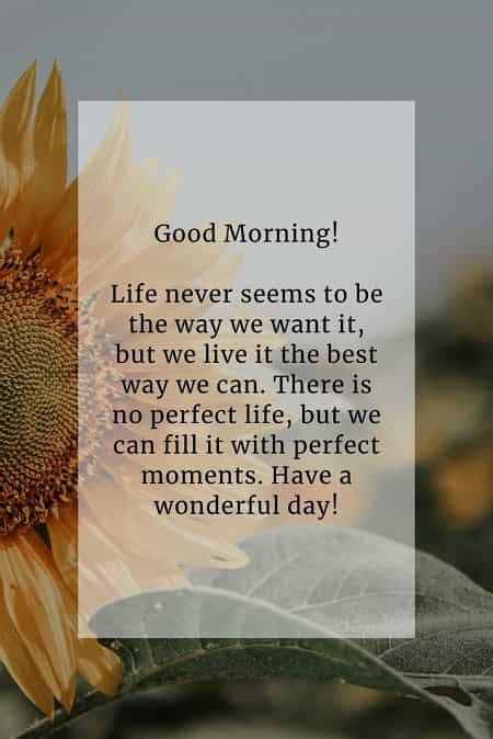 Good Morning Love Quotes