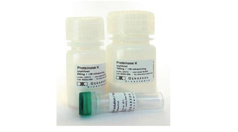 Proteinase K Solution For Pcr