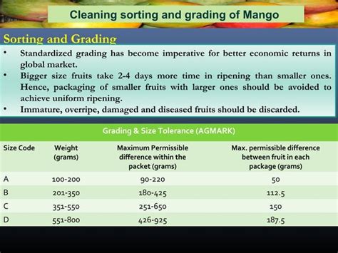 Cleaning Sorting And Grading Of Mango 1 Ppt