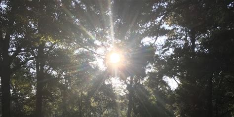 Bambii Onlyfans Bambii Babyy Review Leaks Videos Nudes