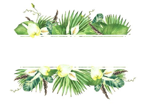 Tropical Border Pngs For Free Download