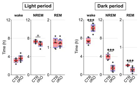 A Role For The Cortex In Sleep Wake Regulation Pmc