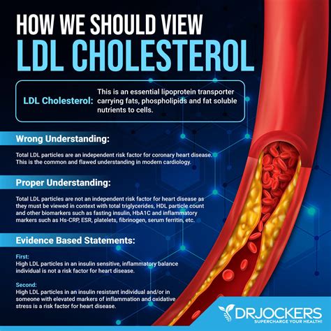 Oreo Cookies Lower Ldl Cholesterol Better Than Statin Drugs