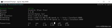 【web开发】python实现web表格功能（d tale pandas flask） 爱看书的小沐的技术博客 51cto博客
