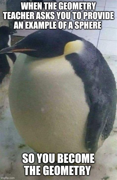 I Am Geometry Imgflip