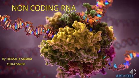 Non Coding RNA PPTX Endocrine And Metabolic Diseases Diseases And Conditions