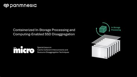 Containerized In Storage Processing And Computing Enabled Ssd