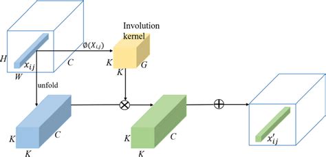 A Schematic Illustration Of The Involution Operator The Involution