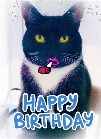 Animated Happy Birthday Cats Happy Birthday  Cat Images Happy