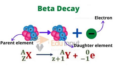 Beta Decay Definition Types Application And Limitations