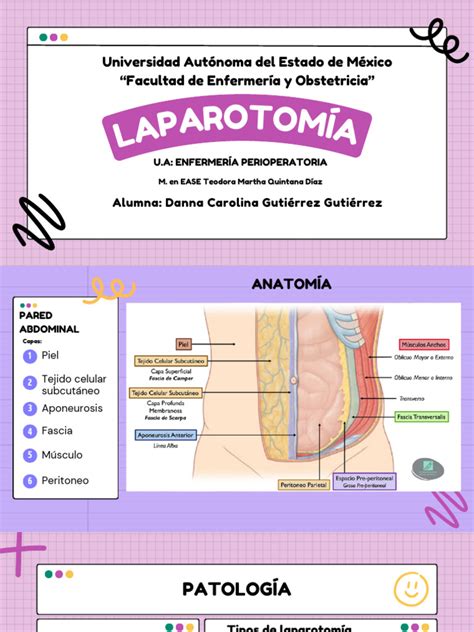 Laparotomía Exploratoria Técnica Y Cuidados Pdf Medicina Clinica