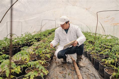 흰색 유니폼을 입은 농학자가 클립보드를 들고 보육원에 웅크리고 앉아 토마토를 확인하고 있다 사진 Unsplash의 원예 이미지