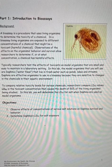 Solved Background A Bioassay Is A Procedure That Uses