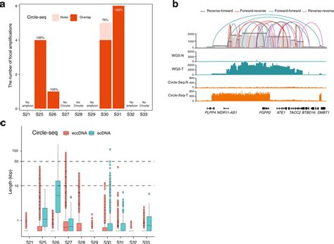 Validation Of The Ecdna Amplicons Using Circle Seq A Summary Of Ecdna
