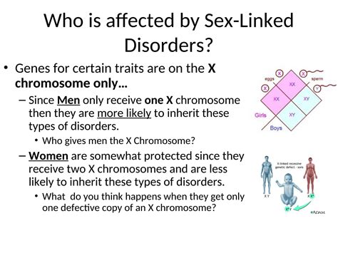 Biology Sexlinkedinheritance Inheritanceppppt