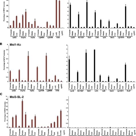 Msl1 Binds To Promoters Of X And Autosomes In A Sex Independent Manner Download Scientific