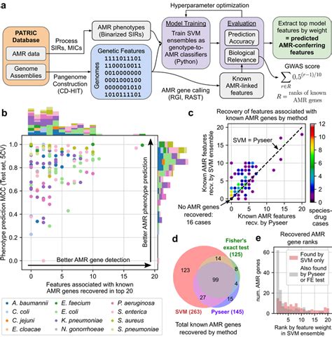 Evaluation Of A Gwas Oriented Machine Learning Workflow For Identifying Download Scientific