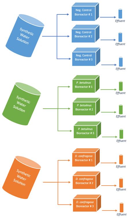 Batch Treatment Experimental Setup Download Scientific Diagram