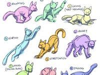 Discover 110 Warrior Cats Poses And Warrior Cats Ideas Cat Pose Cats