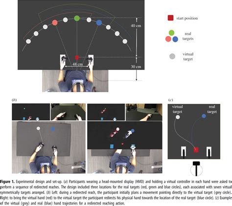 Enhanced Efficiency In Visually Guided Online Motor Control For Actions Directed Towards The