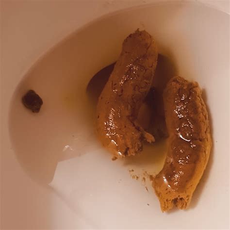 Random Turds Image 3395703 Thisvid Tube Random Turds Image 3395703 Thisvid Tube