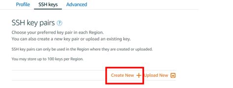 Generate New Ssh Key Pair And Use It With Running Amazon Lightsail Ubuntu Server Instance
