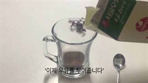 [여전사]제티우유에 맛있게 먹는법 심심해서 올리는 영상 Youtube