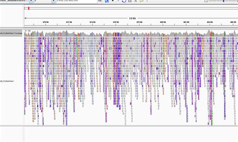 unifiedgenotyper with single read vs paired end read alignment inputs