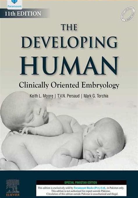 The Developing Human Clinically Oriented Embryology Klm Embryology