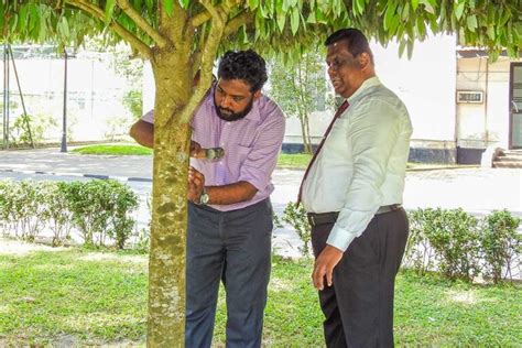 Digitalization Of Tree Inventory University Of Colombo Sri Lanka