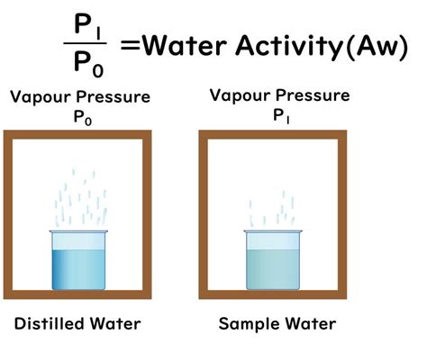 Water Activity Explained What Is It And How Does It Differ From Water Content Introduction