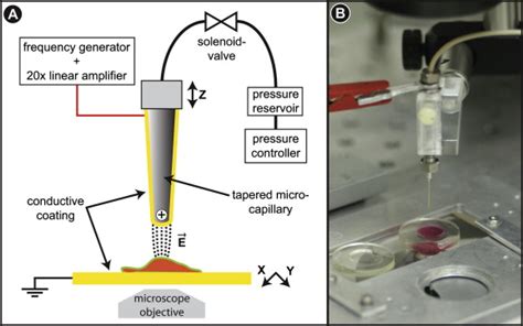Single Cell Lysis Instrumentation A Schematic Representation Of The