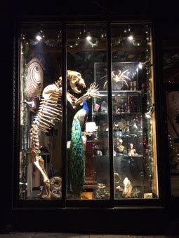 Free Images Shop Items Italy Mall Tourist Attraction Showcase