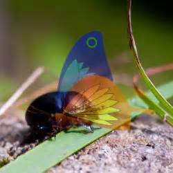 Blend QML Type Qt Compatibility APIs Graphical Effects Qt