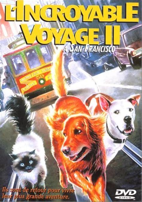 Homeward Bound 2 Lost In San Francisco Dvd