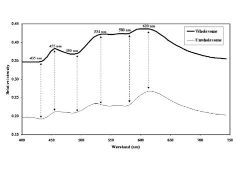 The Average Roi Pixel Spectra For Wholesome Chickens And The Average Download Scientific