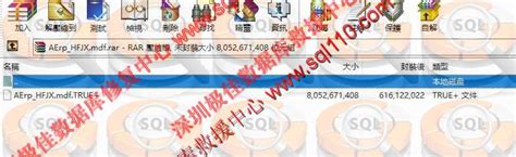 true 勒索病毒数据库恢复 SQL数据库中true 病毒数据恢复 true 病毒数据库恢复