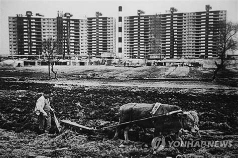 강남구 강남 옛 사진 대전 개최 연합뉴스