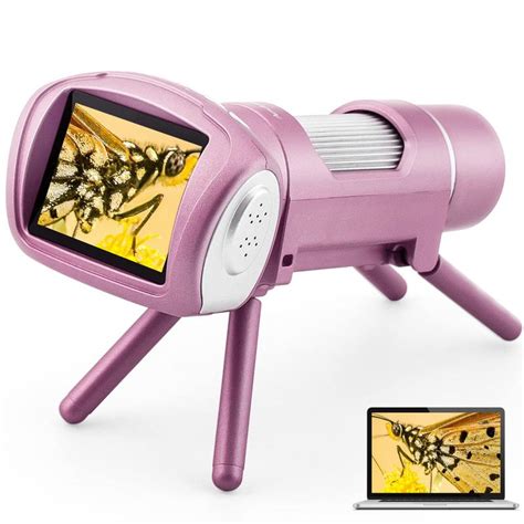 How To Identify Epithelial Tissue Under Microscope