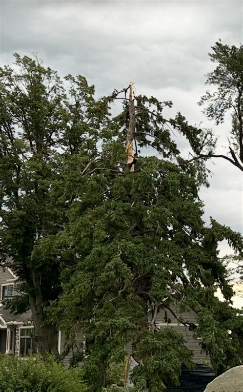 Sioux County Extension Offers Tree Care Workshop After Derecho Sioux County Radio