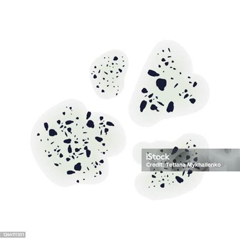 검은 곰팡이 습한 습한 환경에서 곰팡이 또는 곰팡이 얼룩 독성 독성 원소 미생물 썩고 더러운 검은 반점 금형이 있는 영향을 받는 영역입니다 곰팡이를 손상시키는 바이러스 벡터