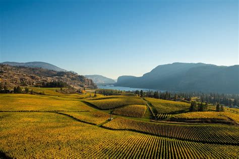 Okanagan Valley The British Columbia Wine Region You Need To Know
