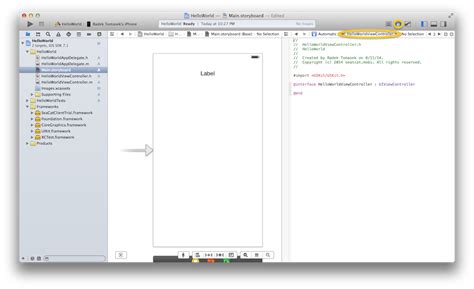 Seacat Tutorial Chapter 1 Hello World Ios · Teskalabs Blog