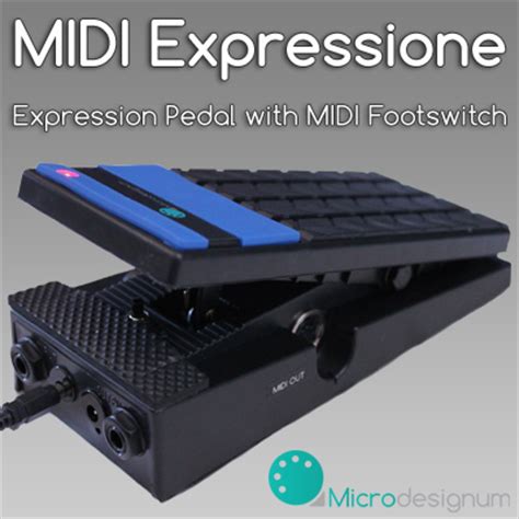 Expression Pedal With MIDI Toe Switch For Line6 M13